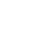 Exodus • Cheat Services for RDR2 Online & More